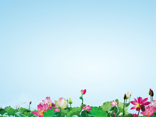 Download File Vector Background Hoa Sen, Link Google Drive