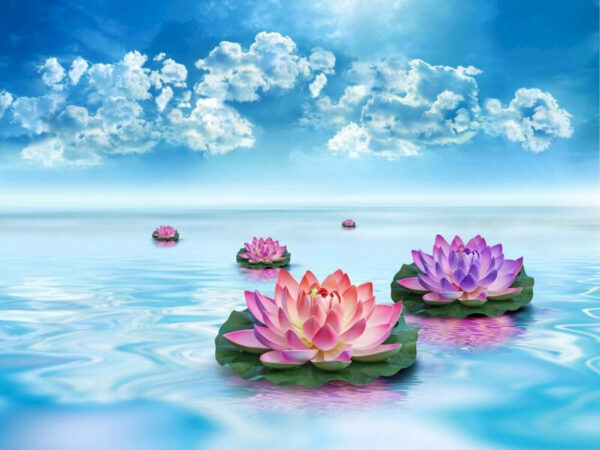 Download File Vector Background Hoa Sen, Link Google Drive