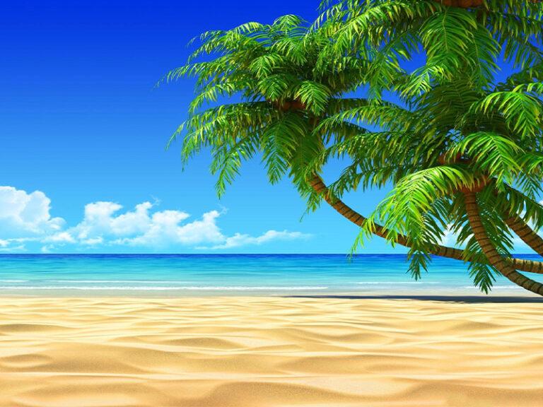 Download File Vector Background Mùa Hè, Link Google Drive