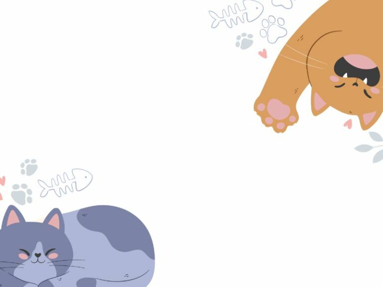 Download 10+ Background Mèo Vector Đẹp, Link GG Drive