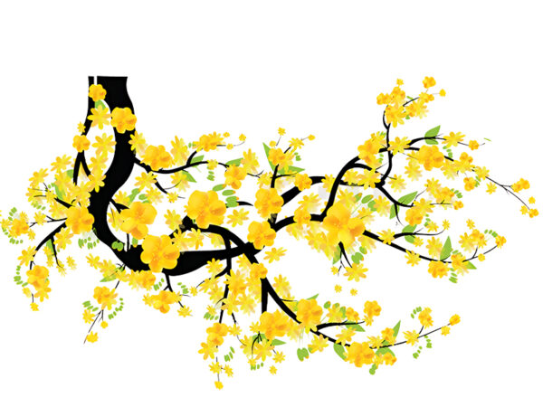 Download 5 Mẫu Cành Mai Vector, Link GG Drive