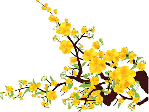 Download 5 Mẫu Cành Mai Vector, Link GG Drive